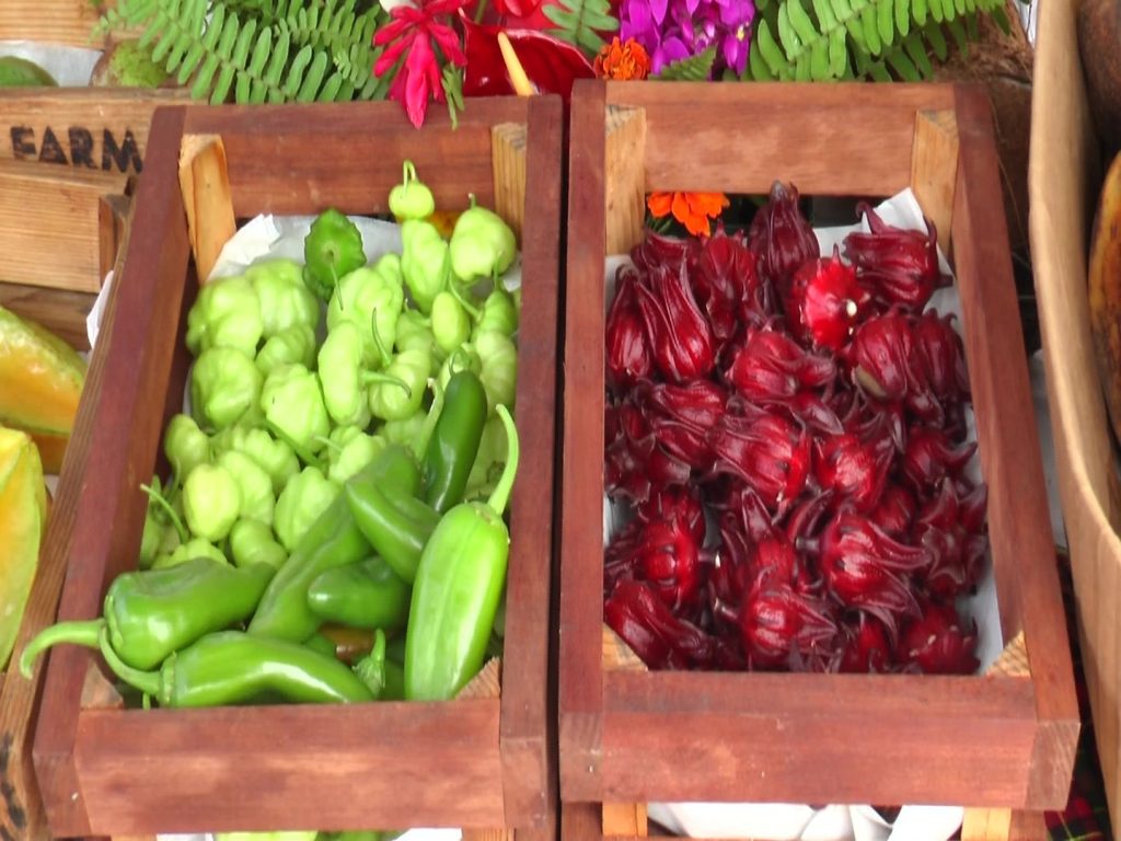 Local Fruits and Vegetables Were on Display at Wellness Week’s Fruits ...